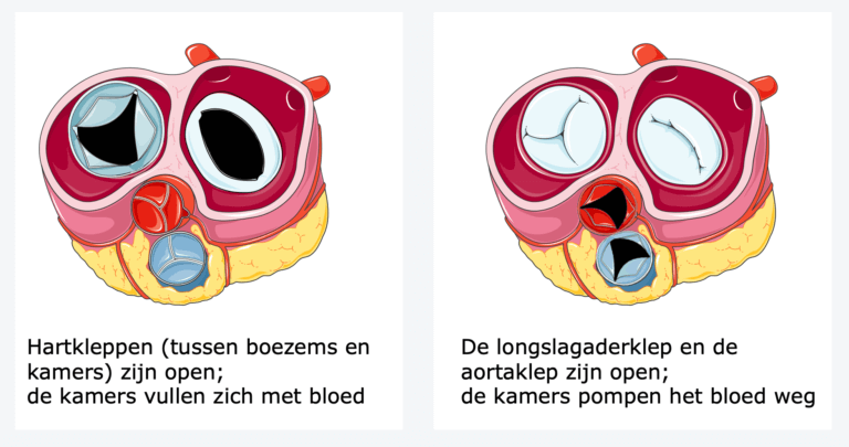 Hartkleppen – Biojuf