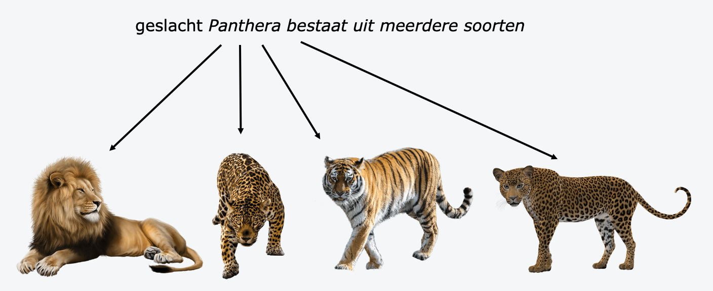 Ordening – Biojuf