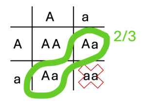 Kruisingsschema’s – Biojuf