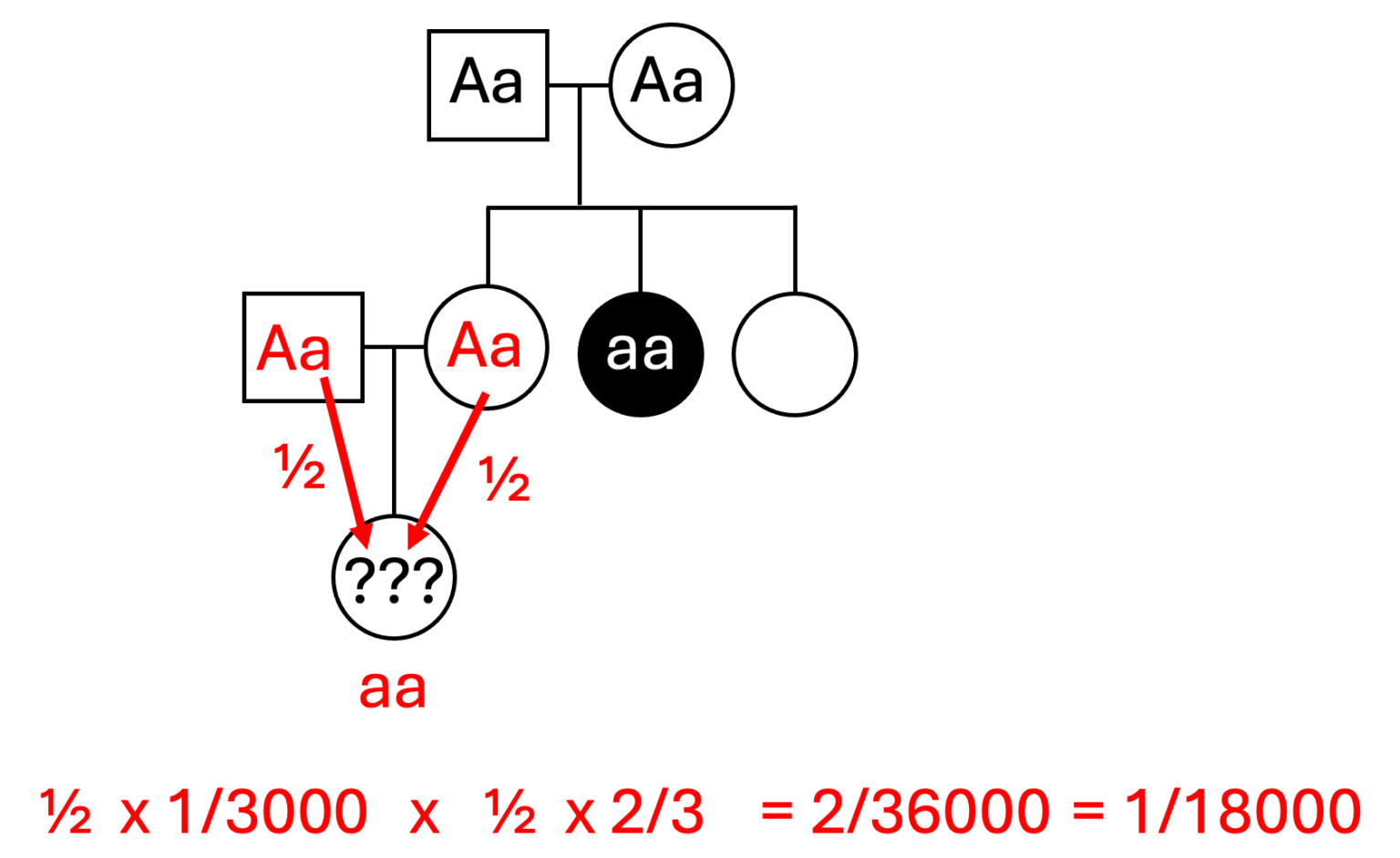 Kruisingsschema’s – Biojuf