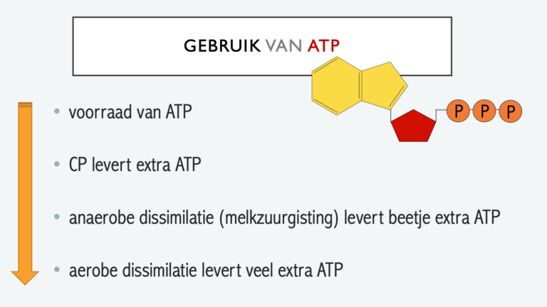 Energie-2 – Biojuf