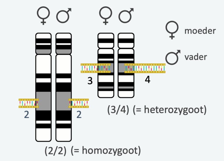 DNA profielen – Biojuf