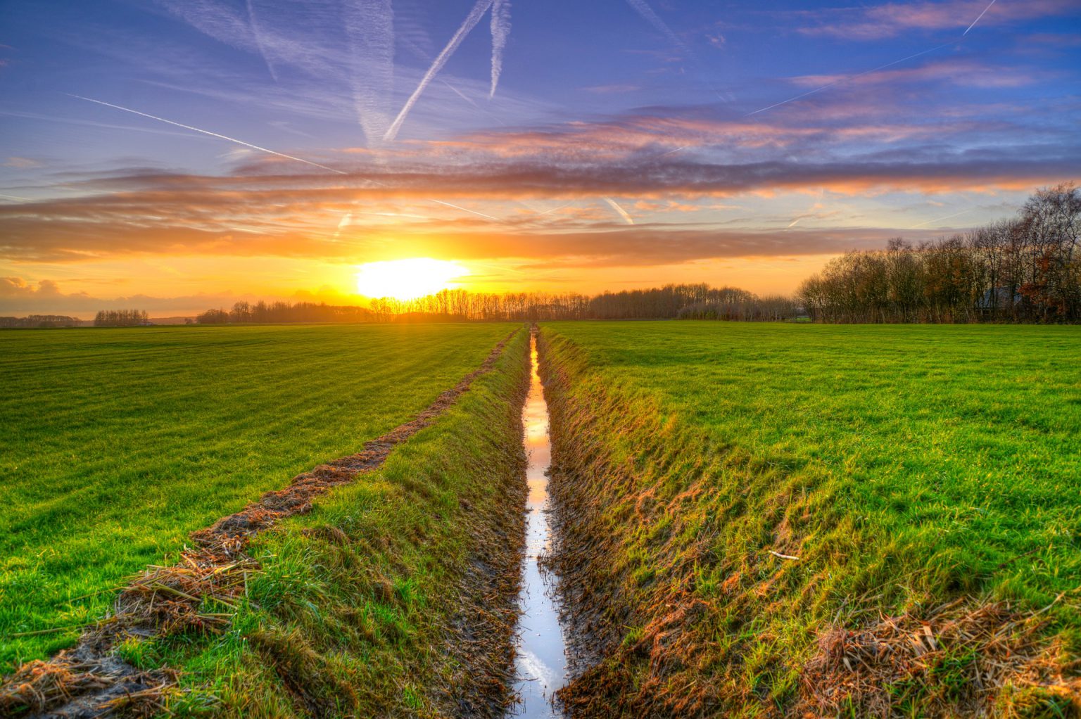 Ecosystemen – Biojuf